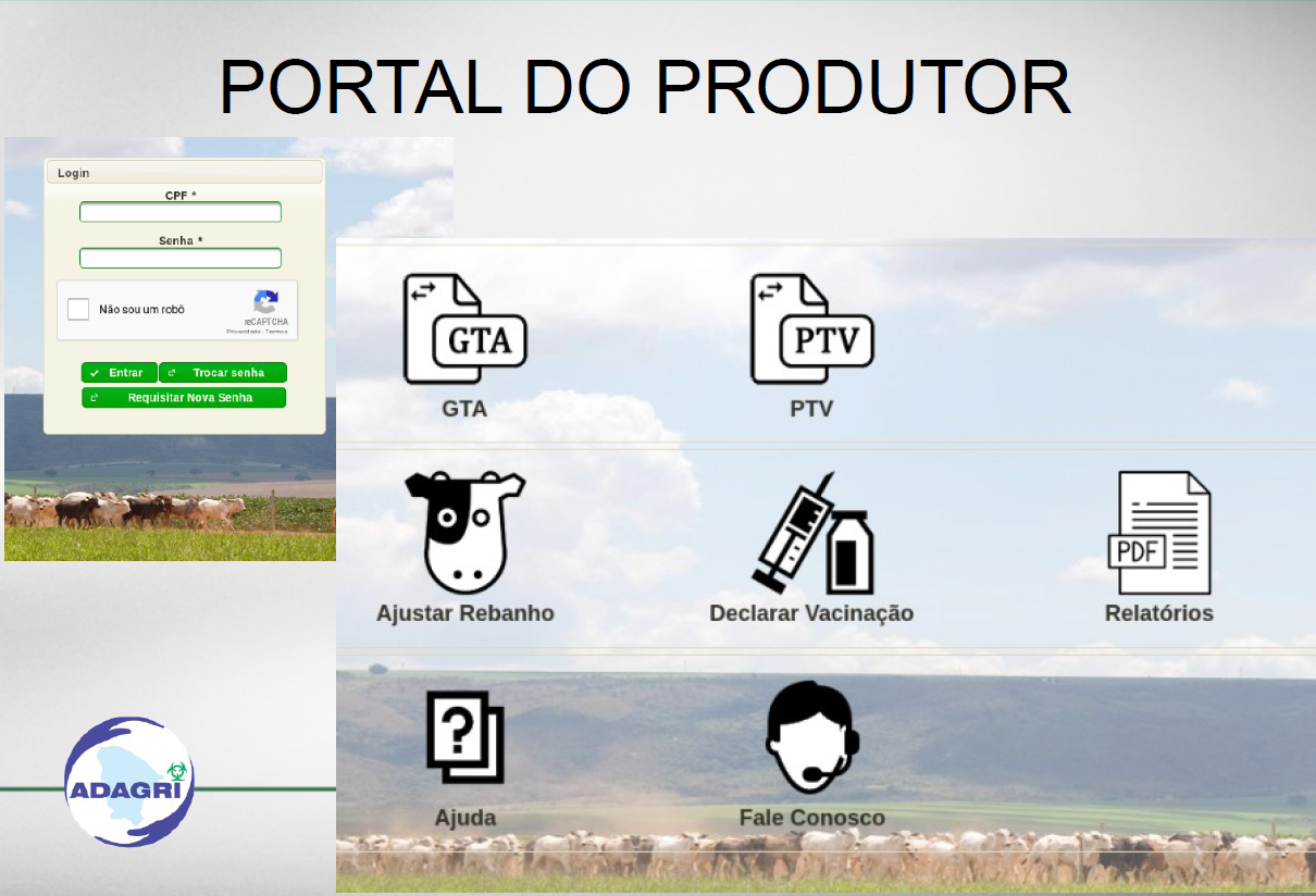 Portal do Produtor disponibiliza diversos serviços com agilidade ...